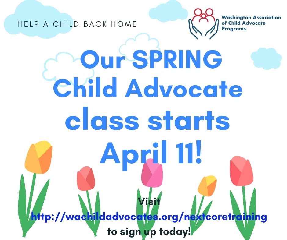 Washington Association of Child Advocate Programs